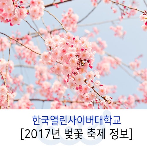 2017년 벚꽃 축제 정보 벚꽃 개화 시기 벚꽃 축제 명소 봄 데이트 장소 네이버 블로그